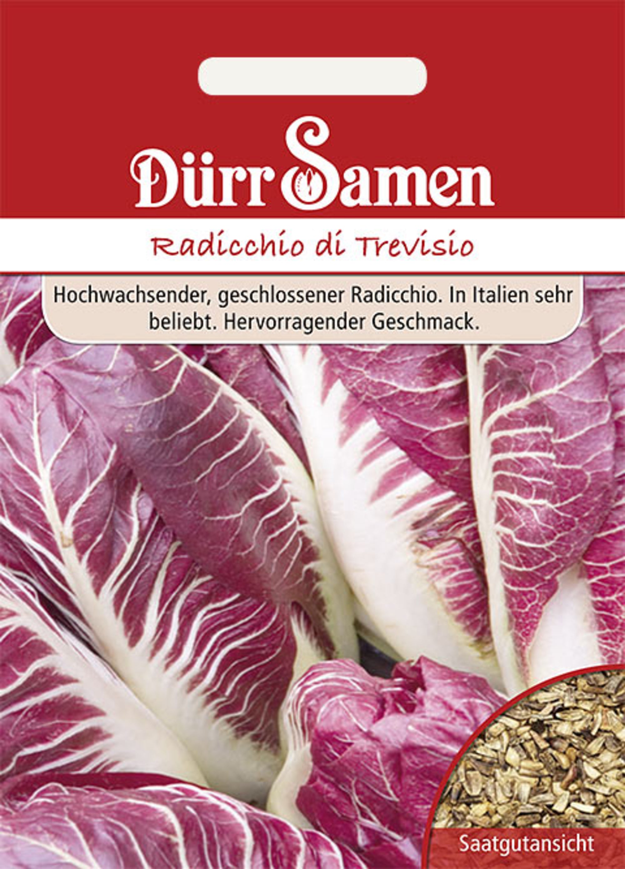 Gemüsesamen Radicchio di Treviso von Dürr Samen | Deine Gartenwelt ...